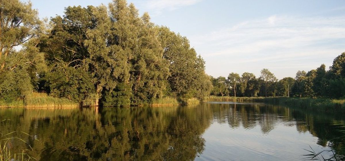 Things to do in Weesp - a peaceful town nicknamed 'Small Amsterdam'