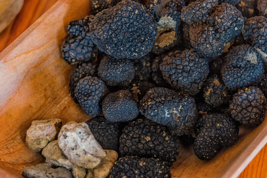 All you need to know about using truffles in Amsterdam