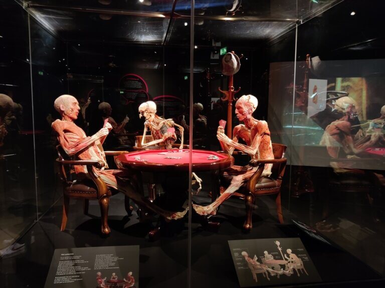 BODY WORLDS Amsterdam - reviews and online discount tickets