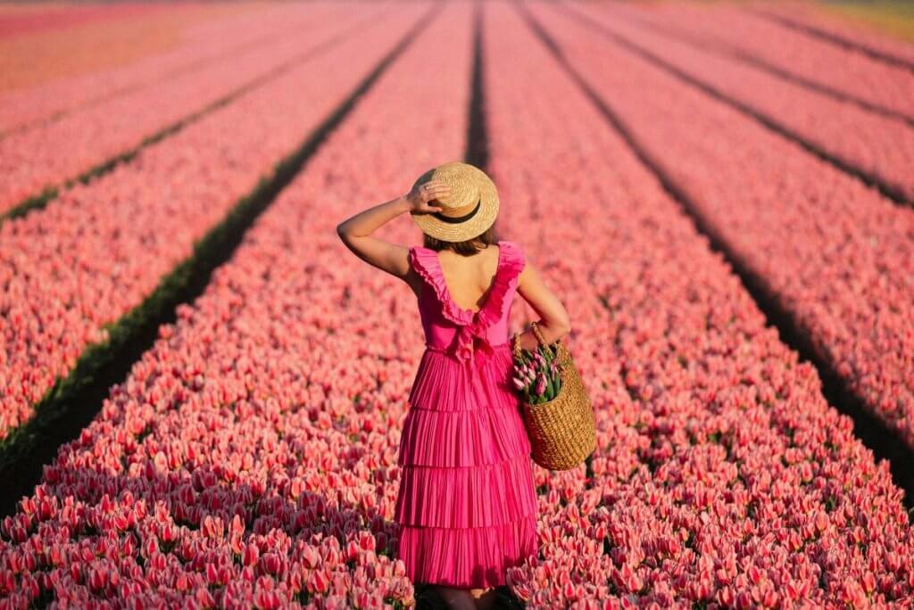 Tulip Fields Around Amsterdam: Where to See the Best Blooms ...